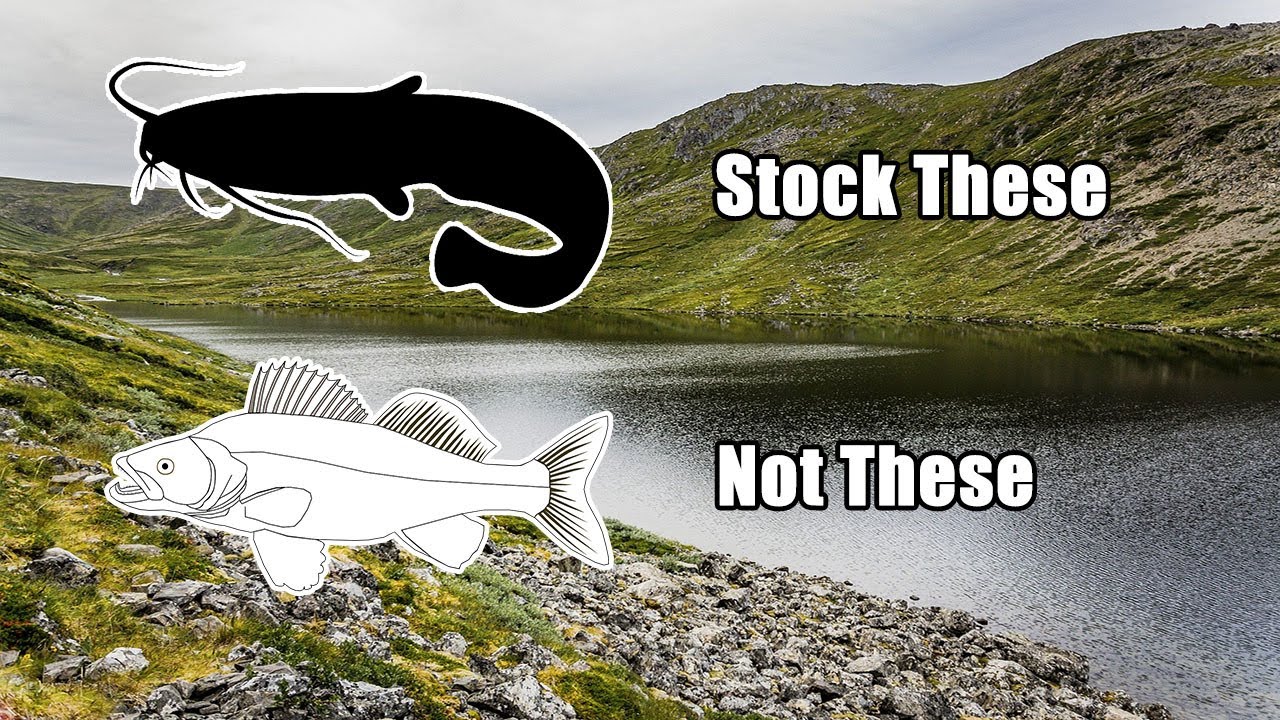 Wisconsin Fish Stocking programs -- here's a suggestion on what to ...
