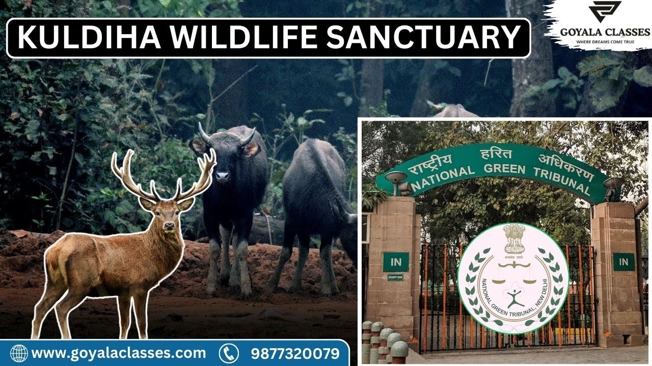 Kuldiha Wildlife Sanctuary | #currentaffairs #virelvideo #wildlife ...