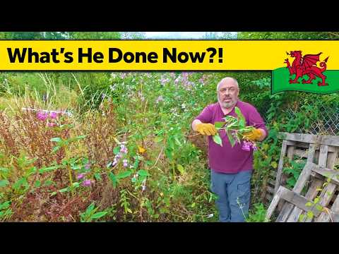 449. Taking on a New Allotment - Slow Living in Wales