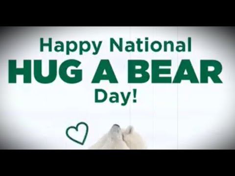 National Hug a Bear Day (November 7), Activities and How to Celebrate ...