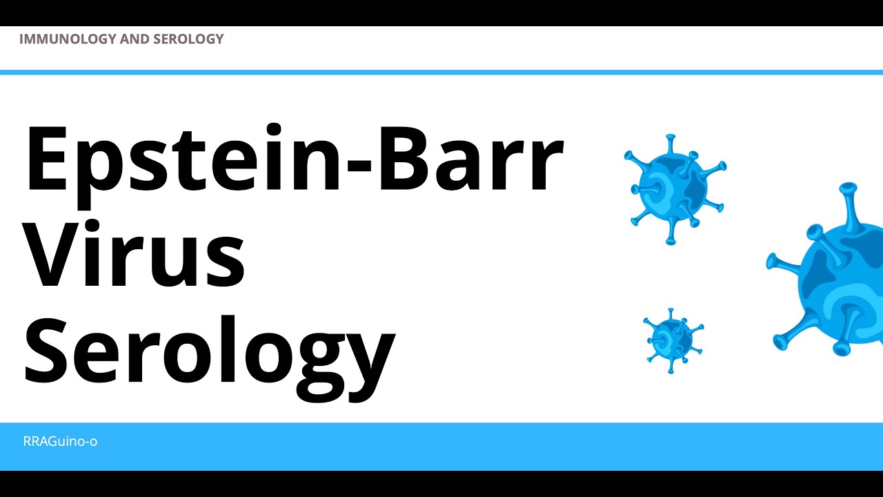 Epstein-Barr Virus Serology | Heterophile Antibodies - YouTube