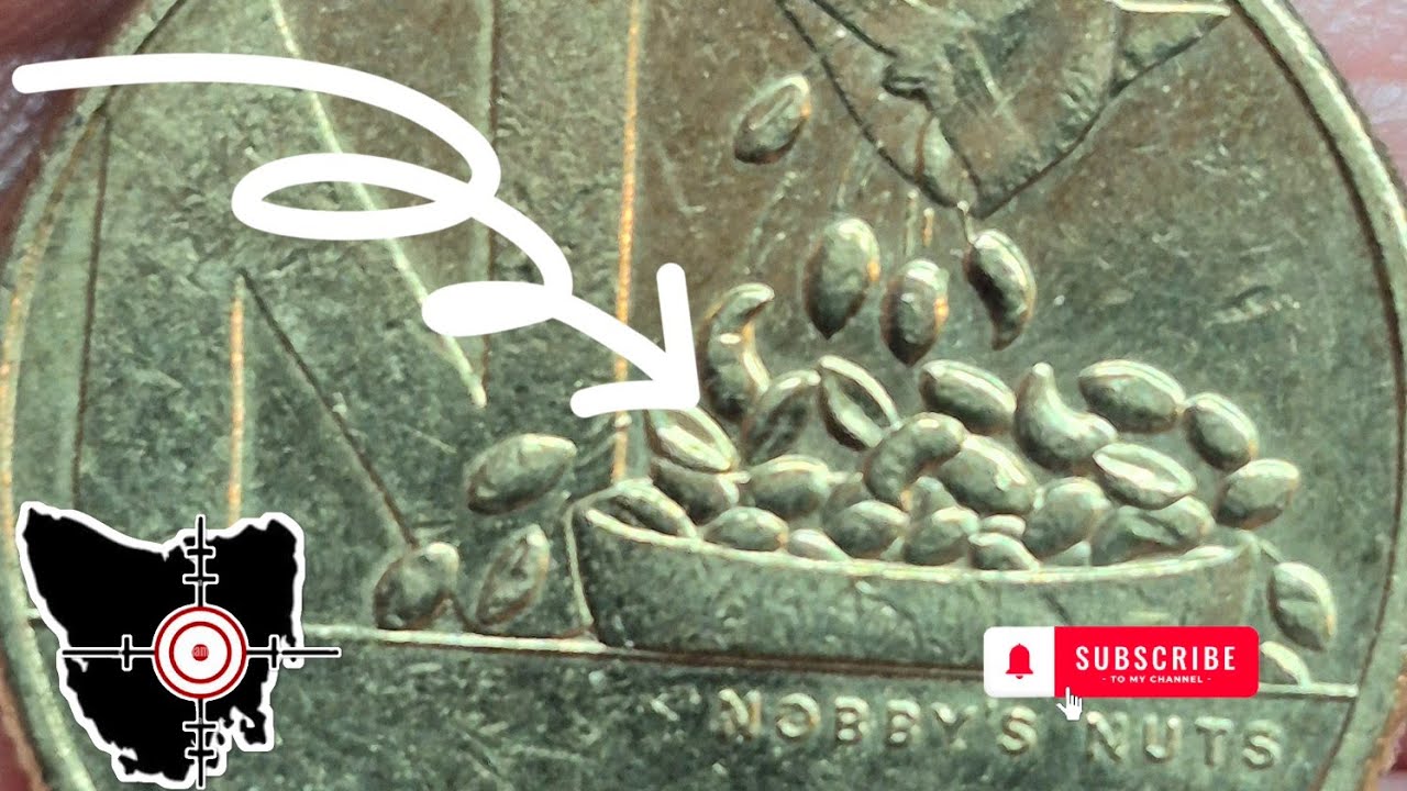 $1 dollar coin noodling go's NUTS very cool - YouTube
