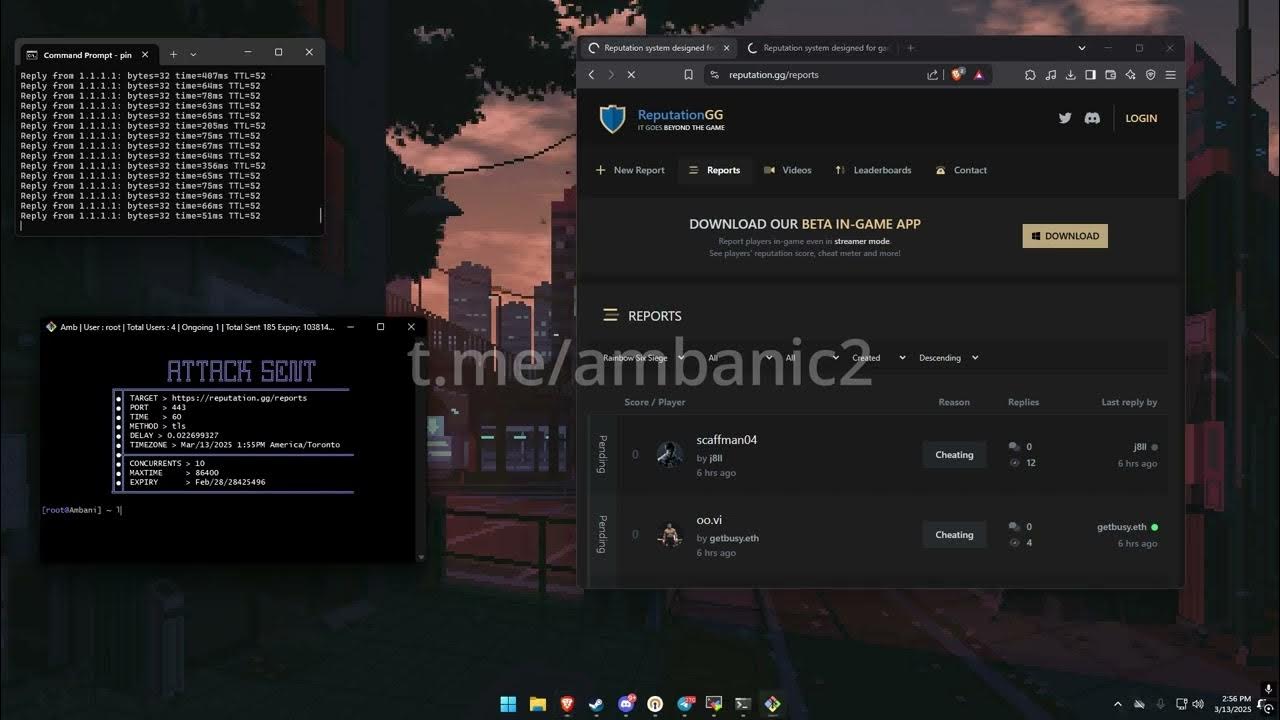 Ambani C2 | BOTNET SHOWCASE C2/BOTNET VS REPUTATION.GG - YouTube