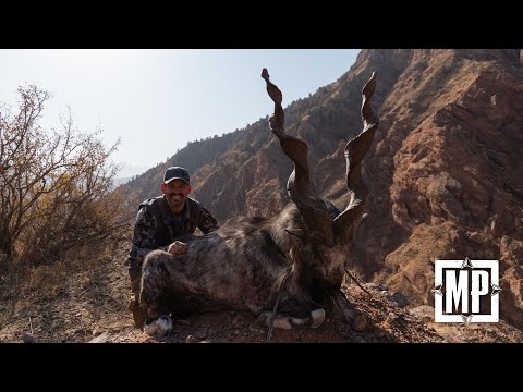 EXTREME Mountain Hunting in Tajikistan: Bukharan Markhor & Urial | Mark V. Peterson Hunting