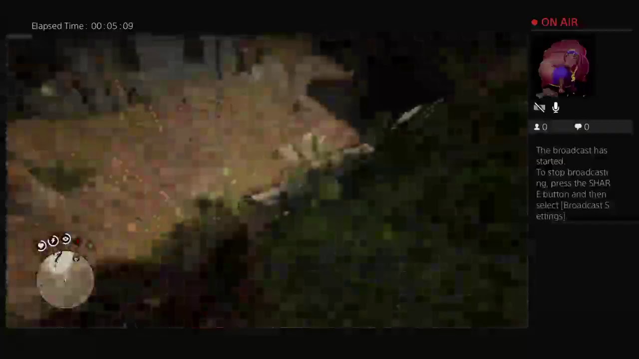 Ref dead redemption 2 what is that - YouTube