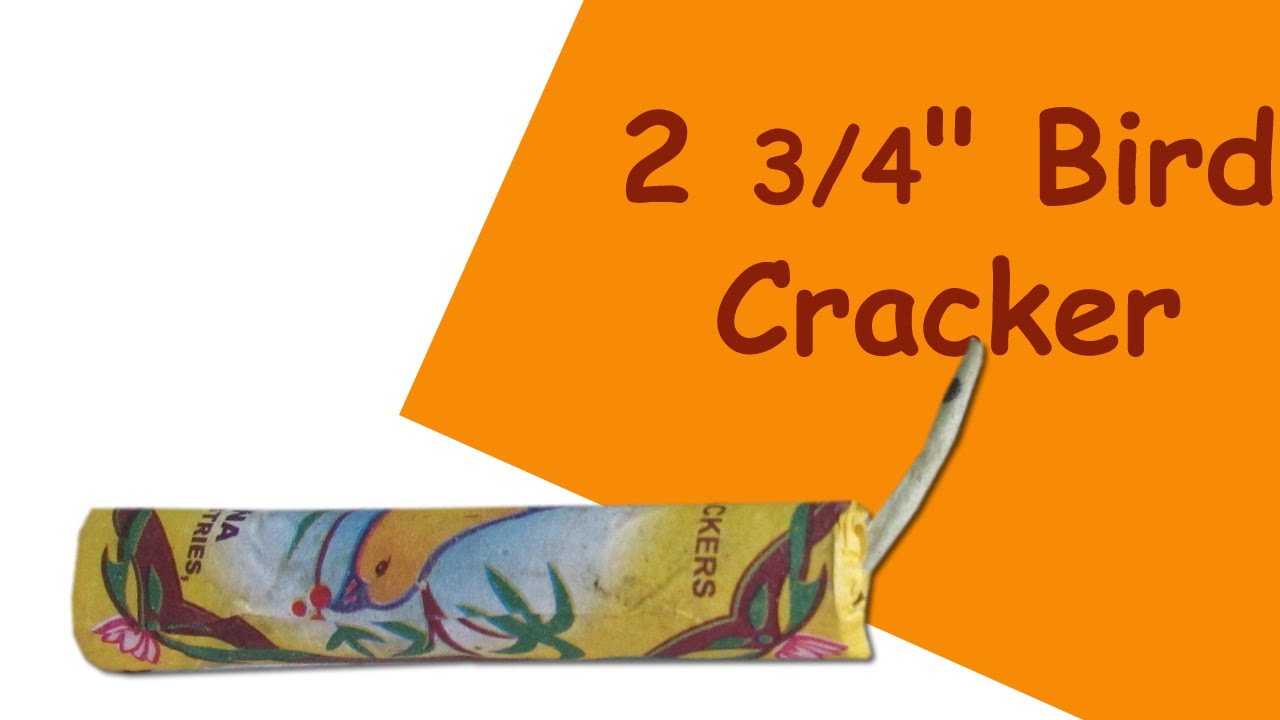 Bird Cracker Small - YouTube