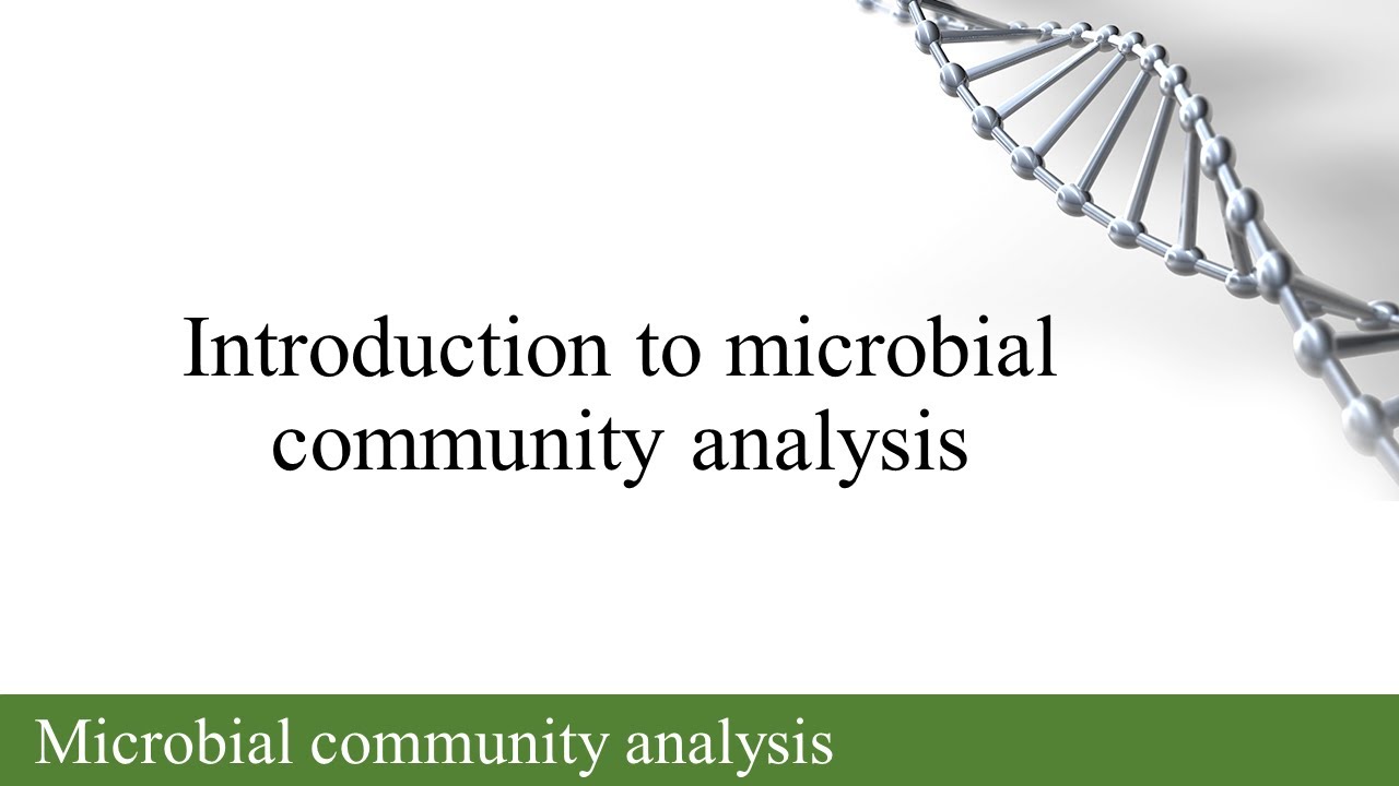 1. Introduction to microbial community analysis - YouTube