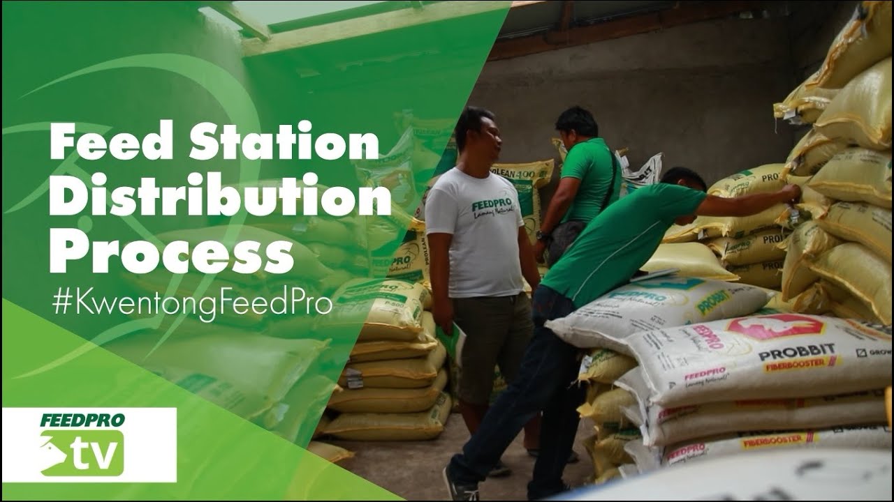 Feed Station Distribution Process - YouTube