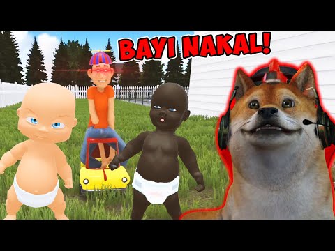 PERJUAANGAN BAPAK MERAWAT DUA BAYI SUPER NAKAL!!! - Who's Your Daddy?