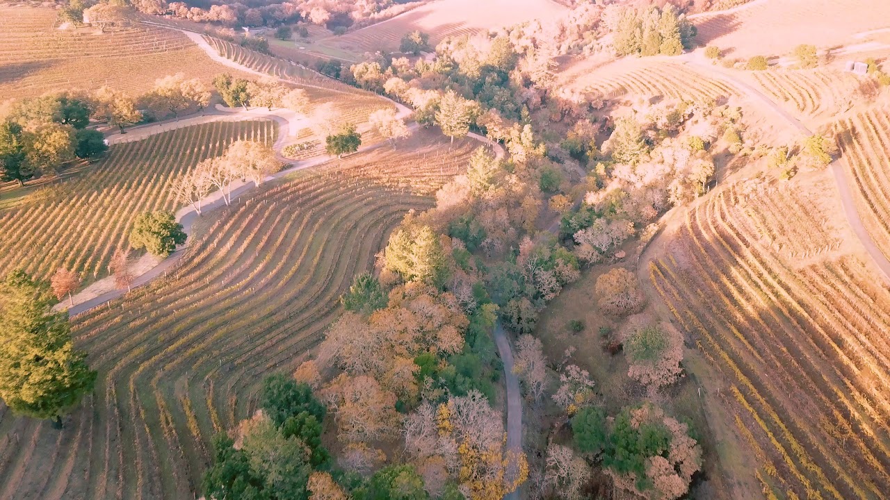 Sonoma Thanksgiving Drone - YouTube