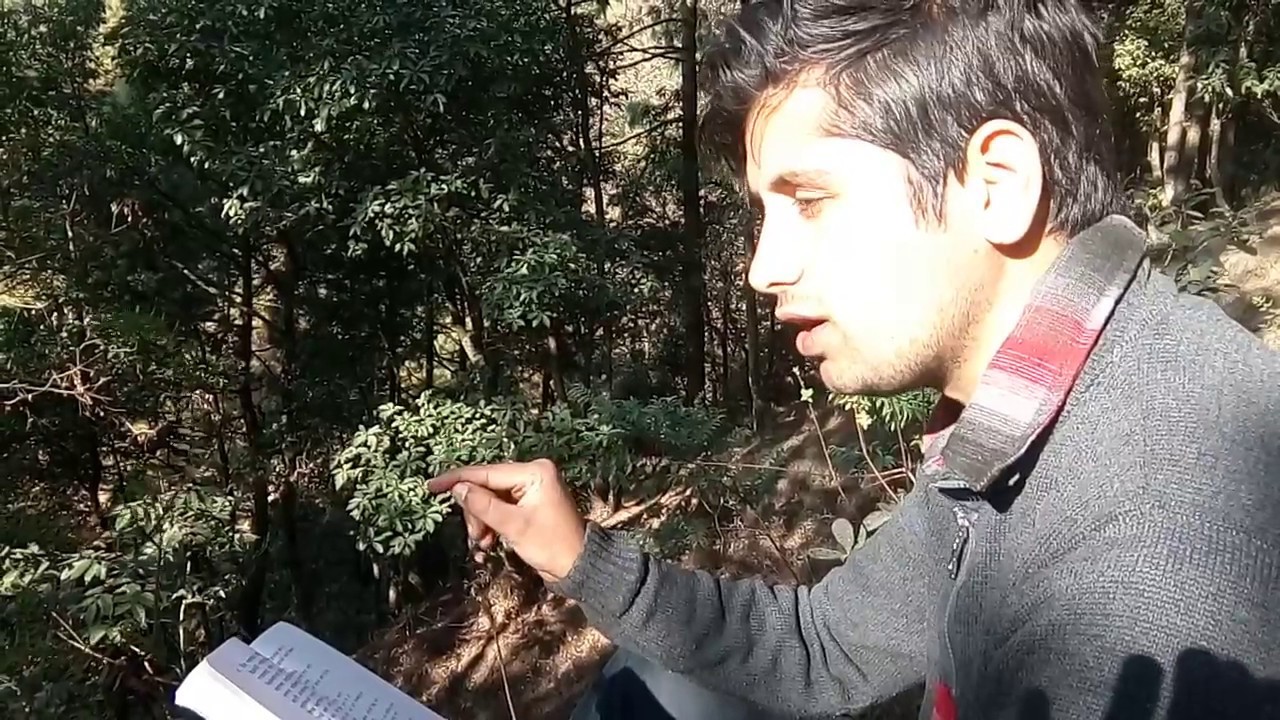Pagal । पागल । Laxmi Prasad Devkota । लक्ष्मीप्रसाद देवकोटा - YouTube