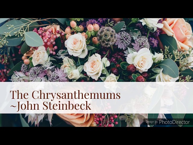 Symbolism Of The Tinker In Steinbeck39s Quotthe Chrysanthemums