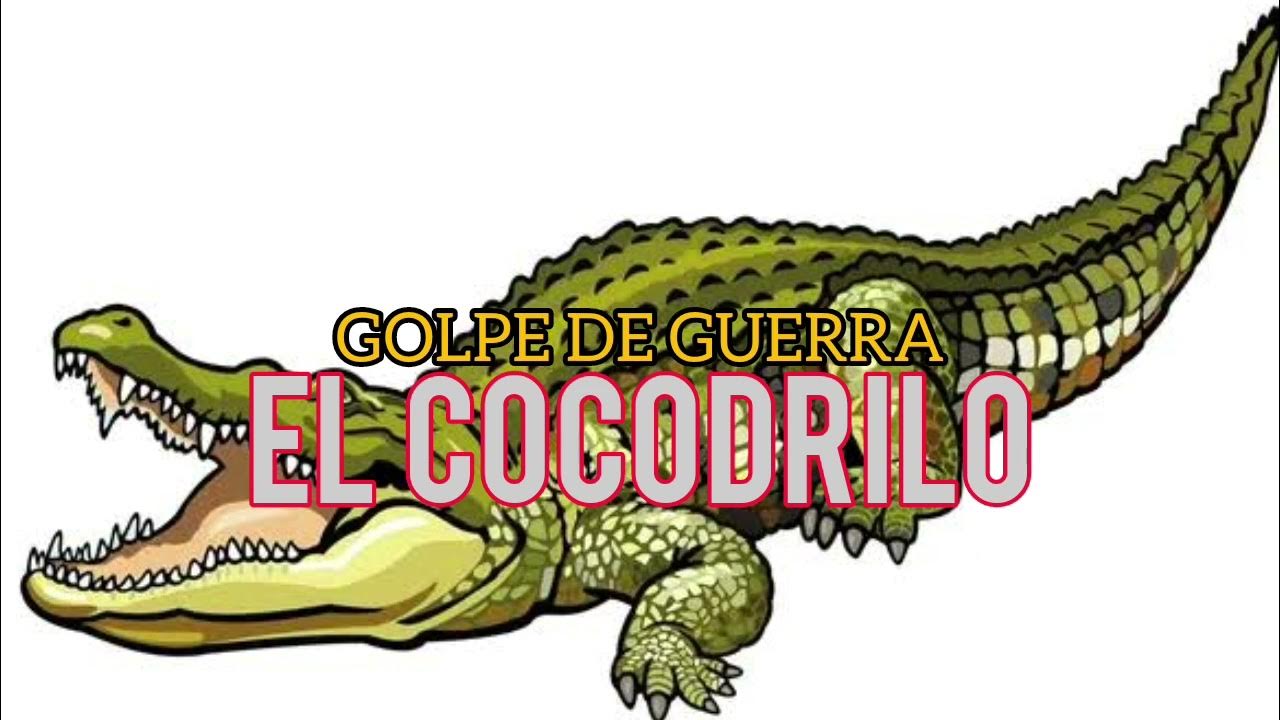 El Cocodrilo // Golpe De Guerra - YouTube