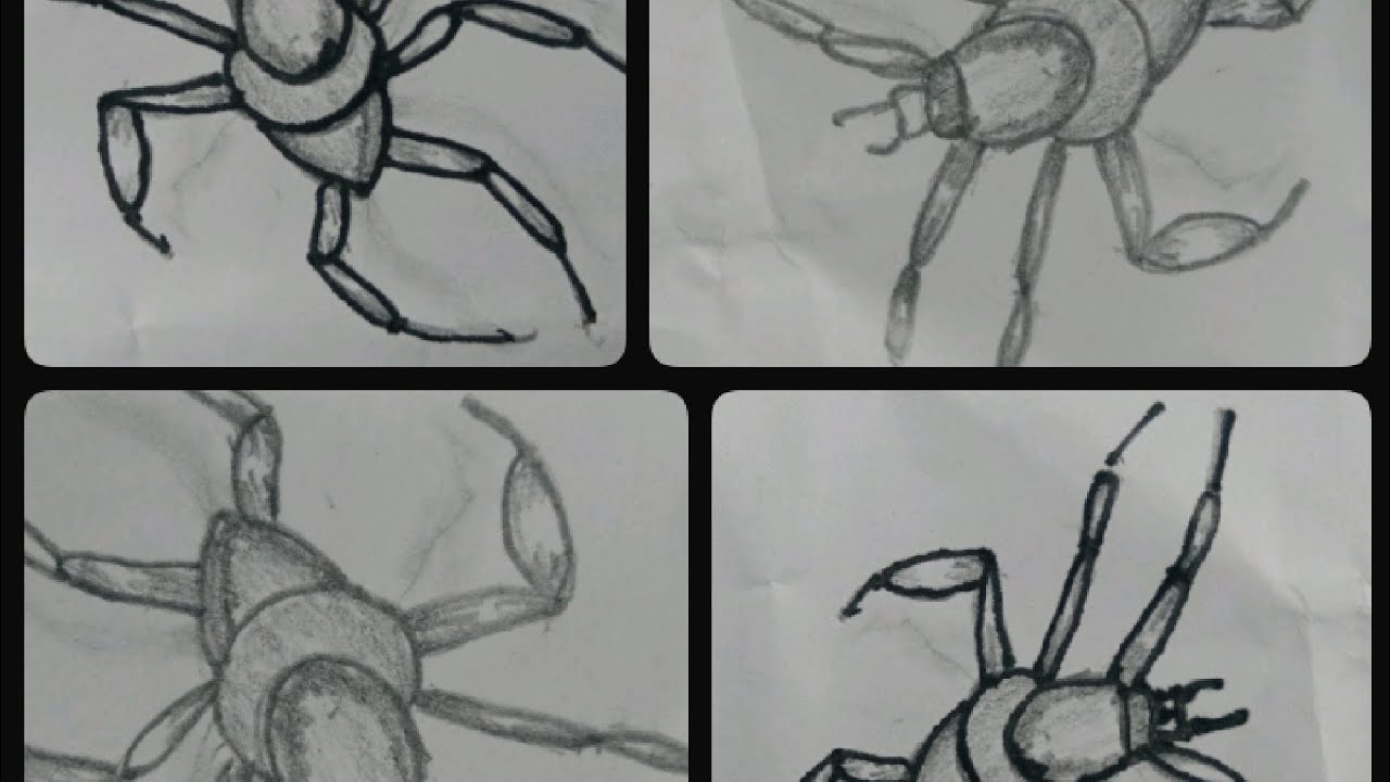 how to draw spiders #drawingtutorial - YouTube