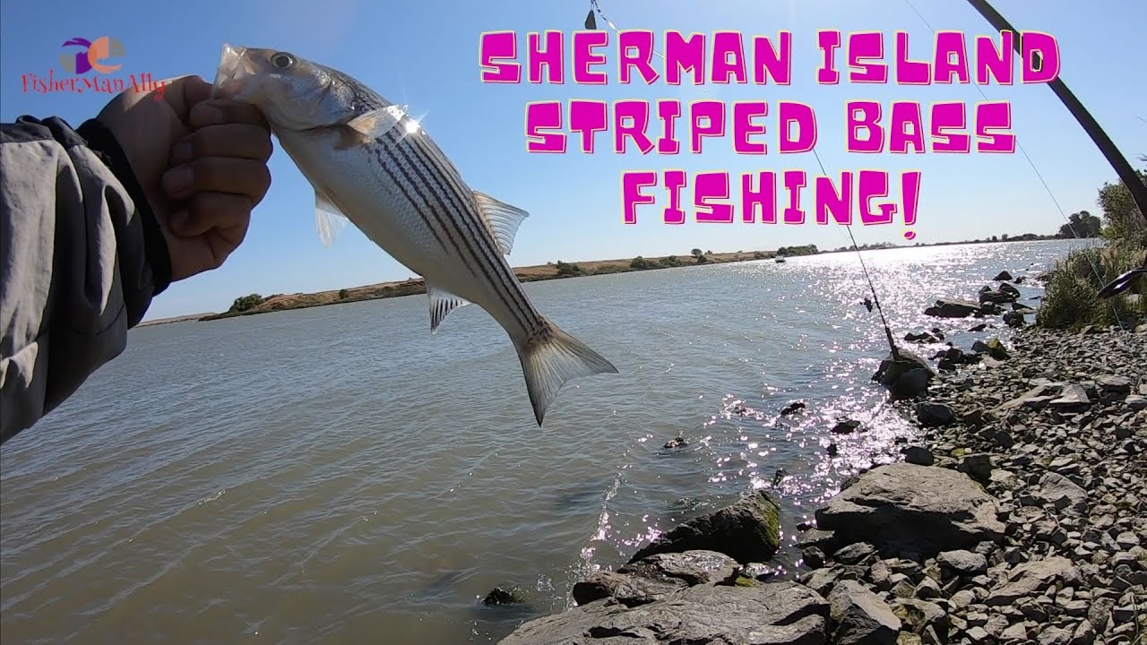 Sherman Island fishing at Sacramento-San Joaquin River Delta. - YouTube
