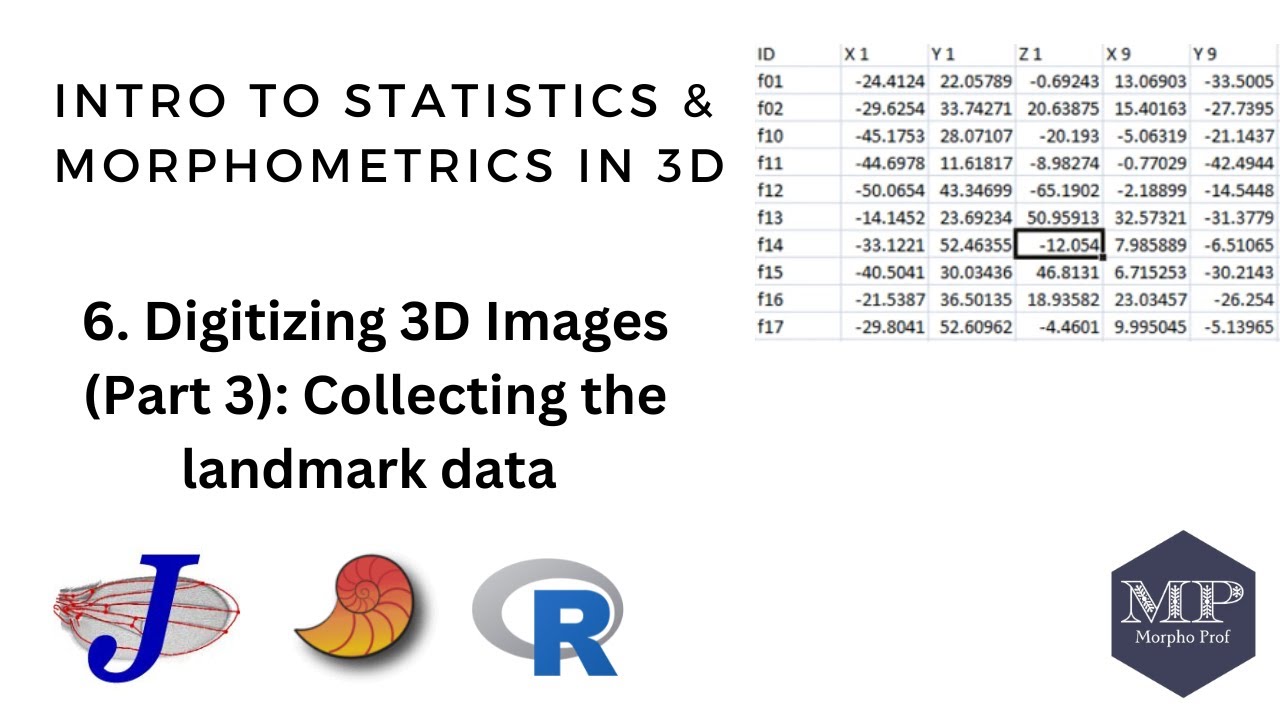 6. Digitizing 3D Images (Part 3): Collecting the landmark data [Highly recommended] Viewbox ...