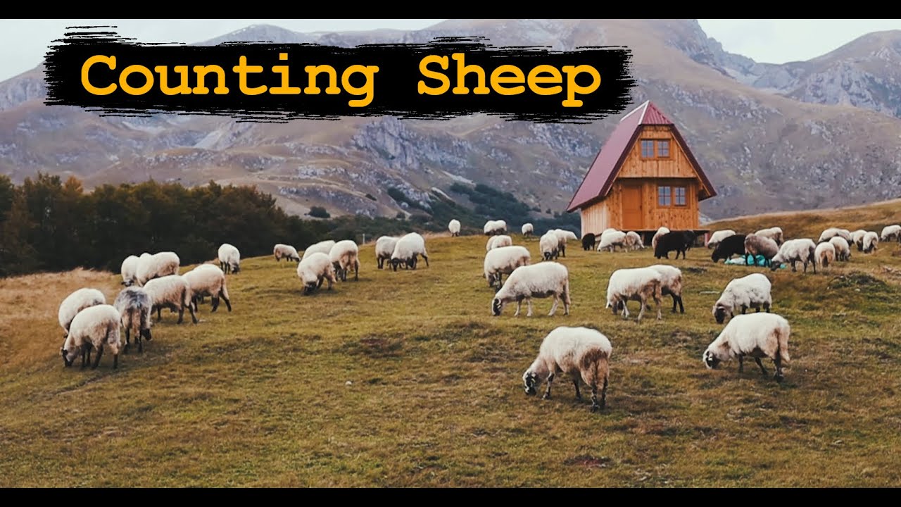 Mindless Paresthesia - Counting Sheep - YouTube