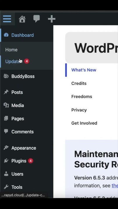 What Is The Purpose Of The Re Install Wordpress Button Wordpressblog Buntywp Youtube