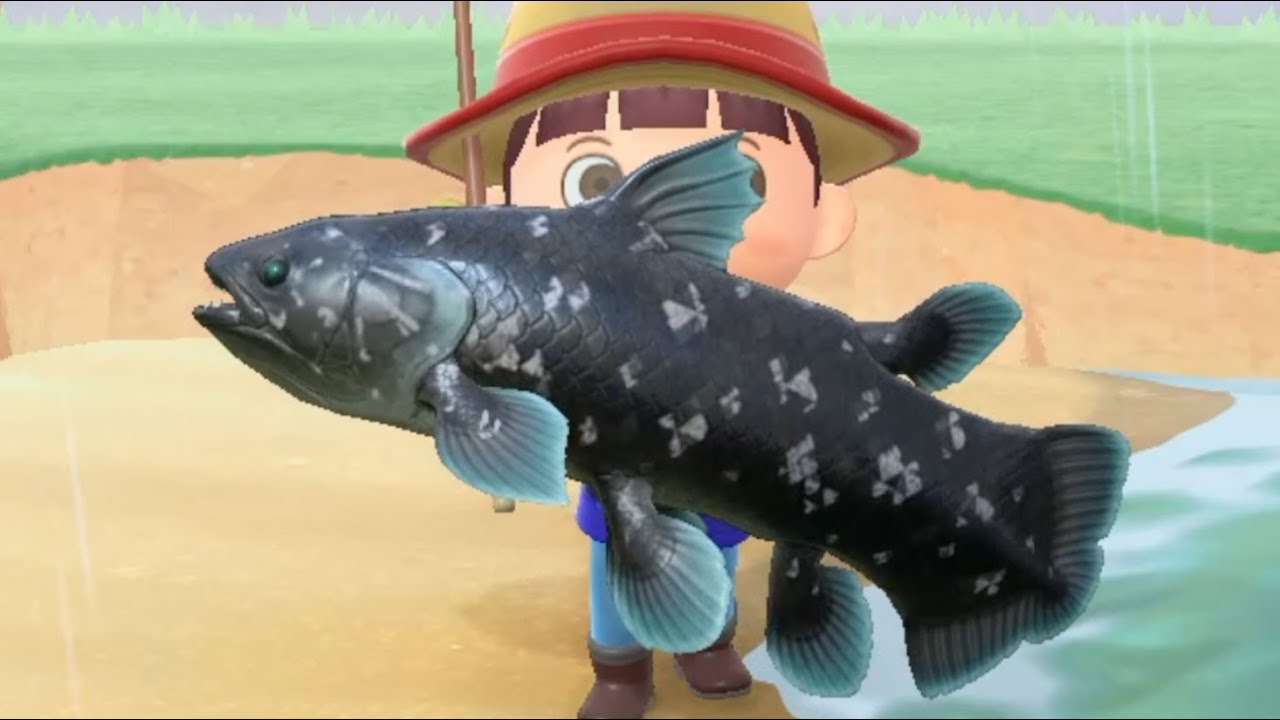 Animal Crossing New Horizons Clips Fishing Coelacanth ACNH - YouTube