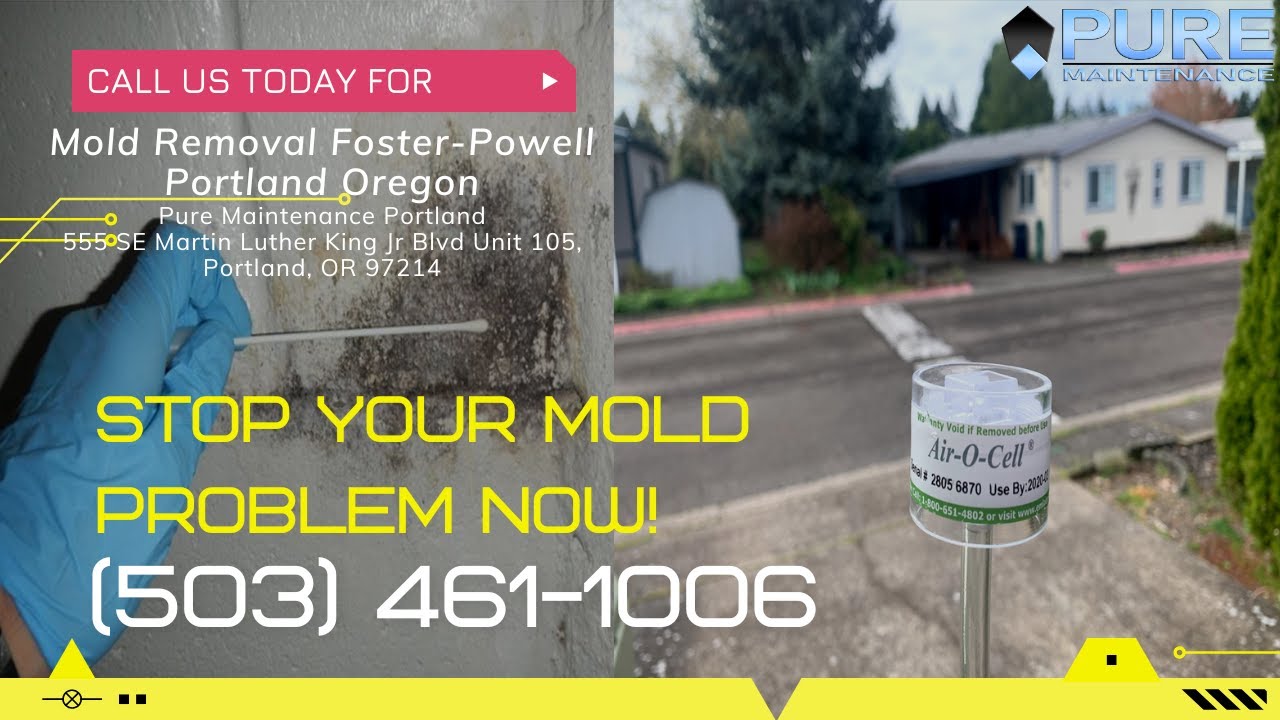 Mold Removal Foster-Powell Portland Oregon - Pure Maintenance Portland ...