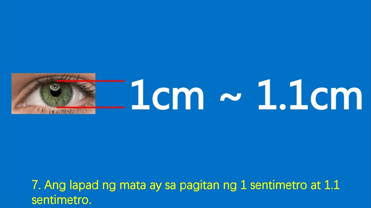 Ang lapad ng mata ay sa pagitan ng 1 sentimetro at 1.1 sentimetro ...