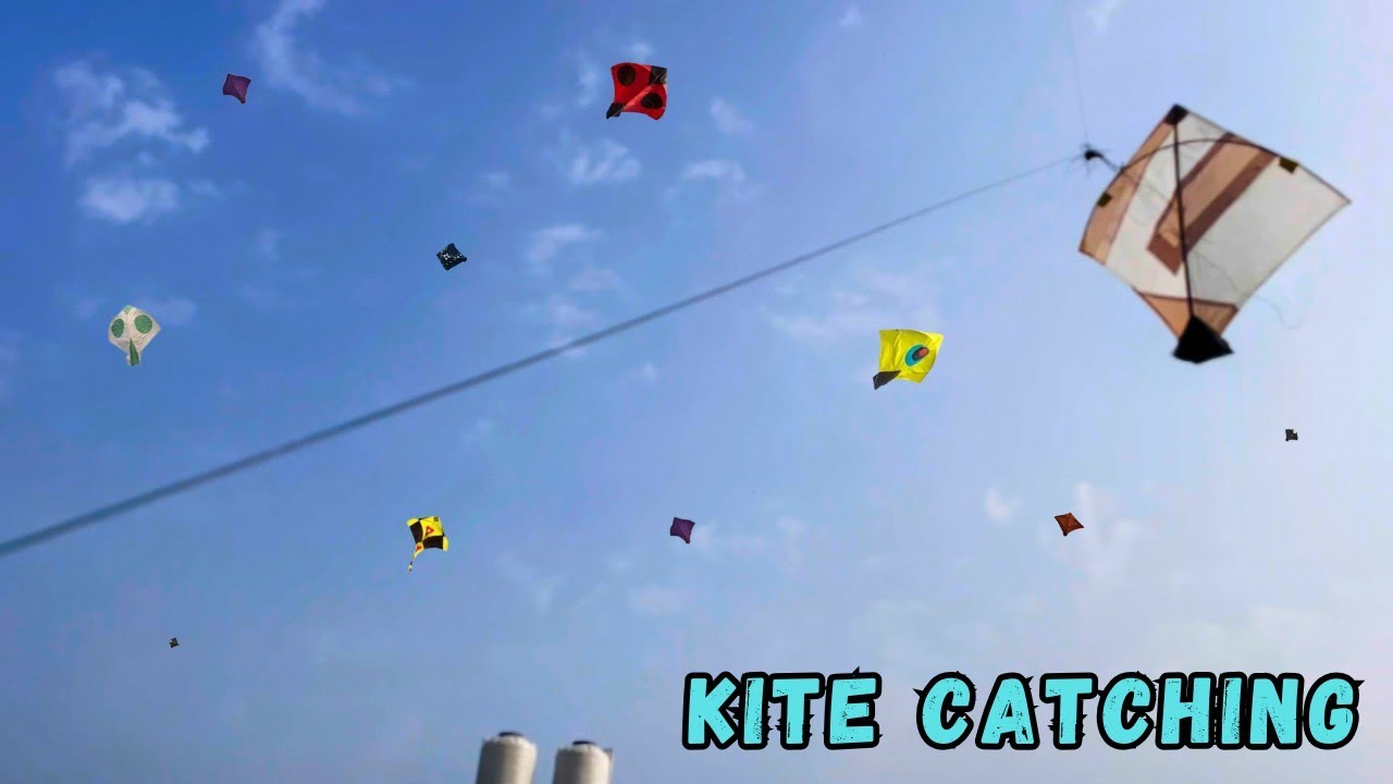Kite Catching from roof | kite looting | caught kite | kite catching ...