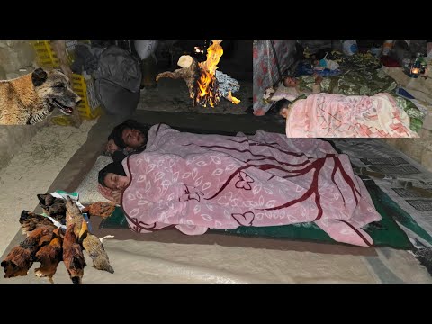 🌃⛺️IRAN nomadic life: Beautiful Night in a Nomadic Tent in Zagros🌙 | Nomadic Shepherd Life🏕️