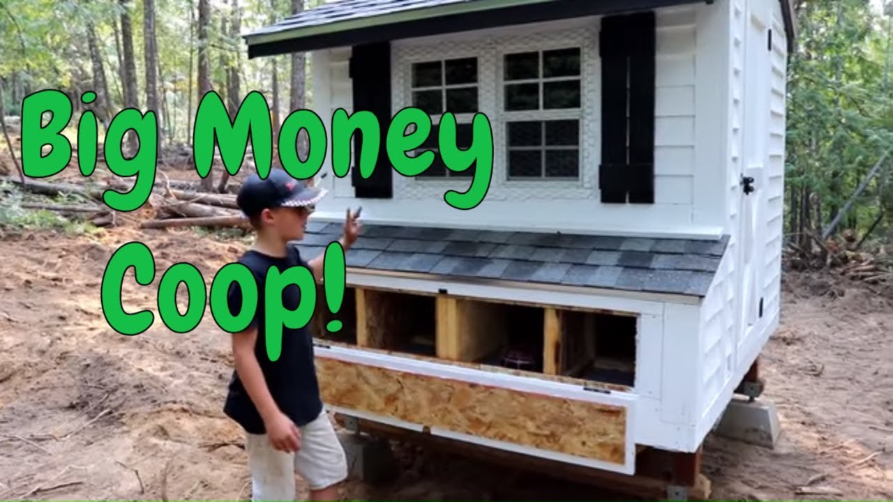 Building the perfect back yard chicken coop. fun farm project, the kids ...