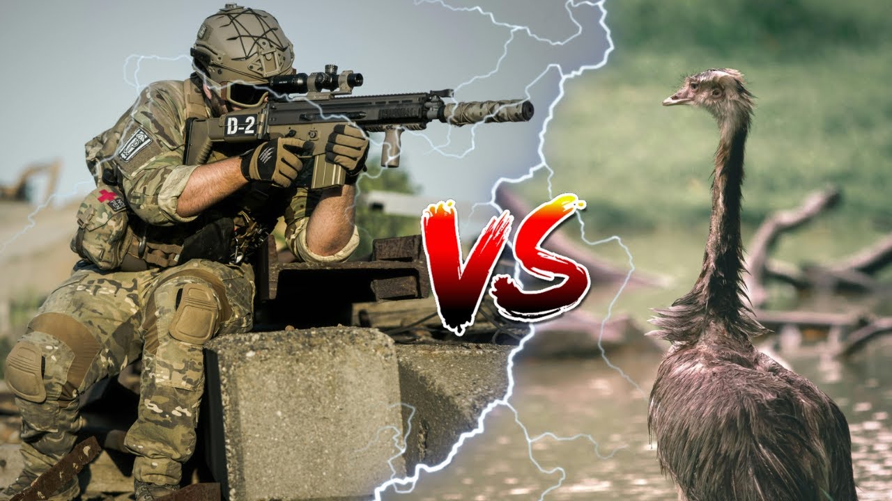 EPIC SHOWDOWN: Military vs. Emus! Unmasking the Unbelievable Drama of ...