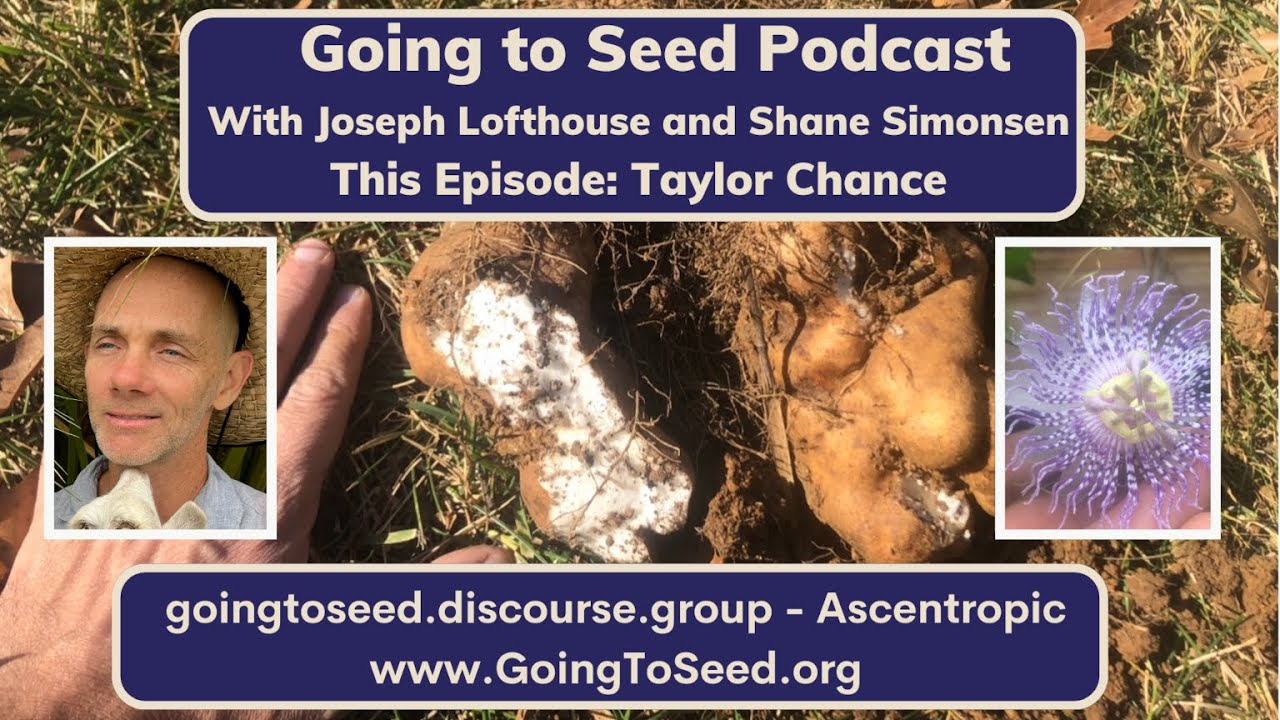 Episode 20 Taylor Chance - YouTube