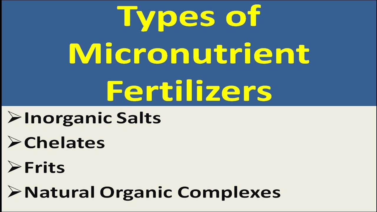 Types of Micronutrient Fertilizers - YouTube