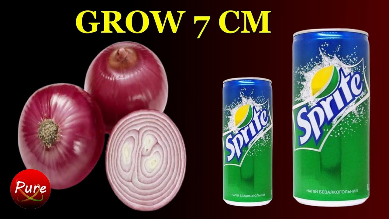 Onion Mix Sprite, Honey and You Will Thank Me - Simple Recipe - YouTube