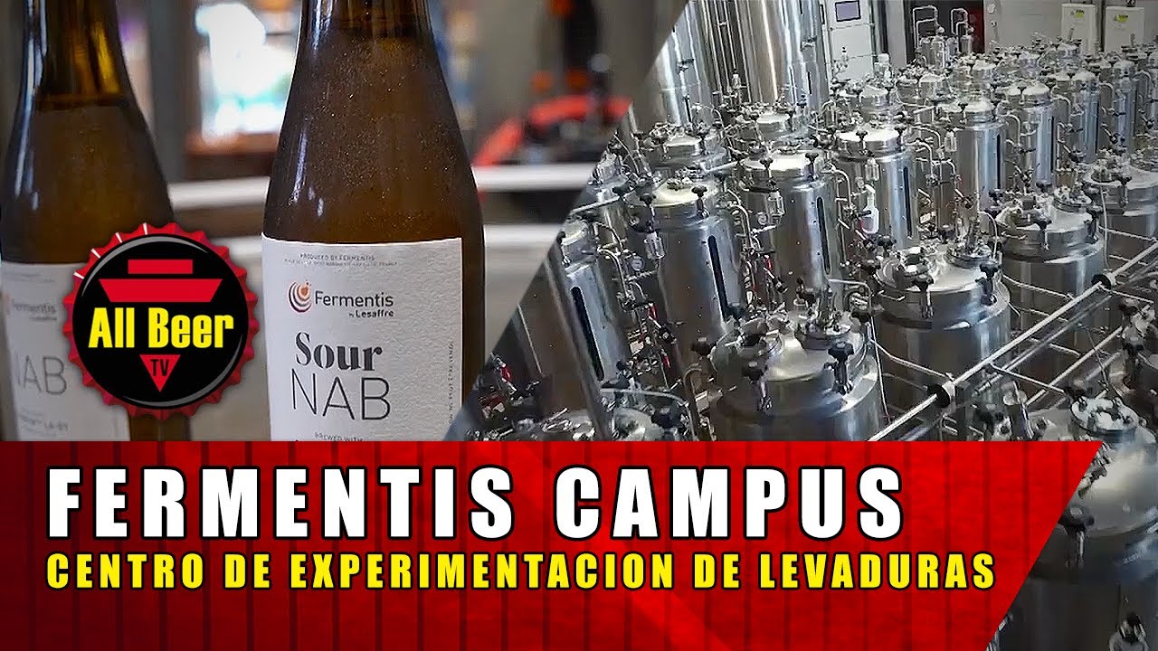 FERMENTIS Campus | Centro de Experimentación de LEVADURAS | Fermentis Academy | All Beer TV ...