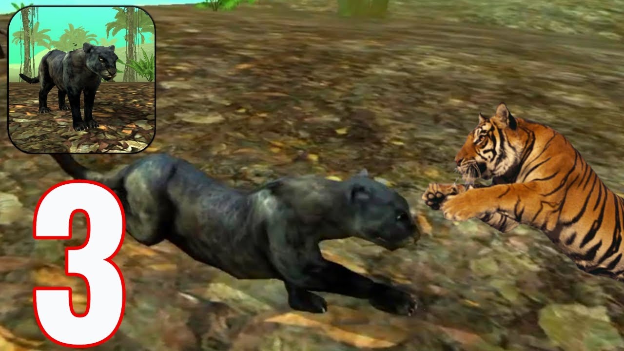 Wild Panther Sim 3D - Gameplay Walkthrough Part 3 - Hunting Tigers (iOS ...