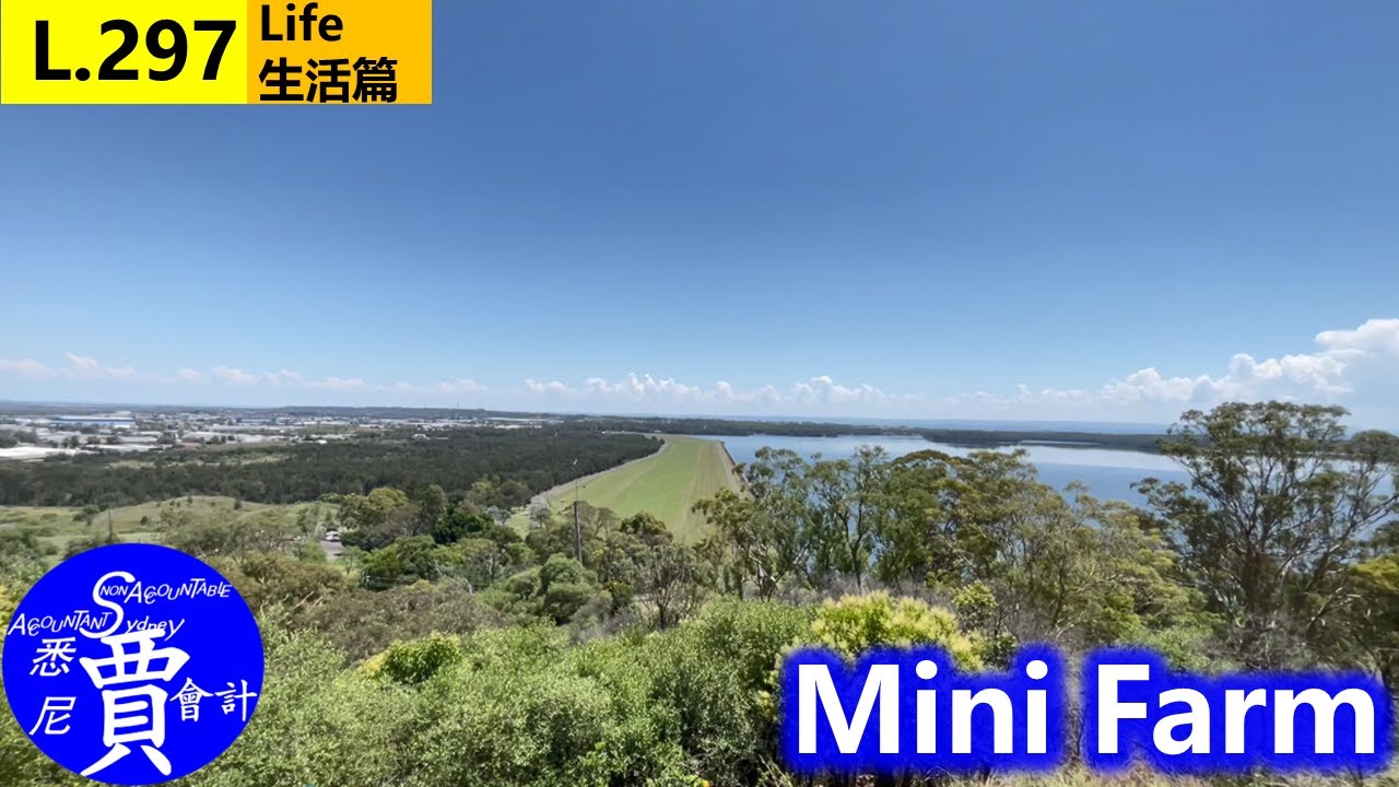 悉尼水库 喂鸟 George Maunder Lookout Sydney one day tour 悉尼一日游 澳洲旅游 L297 ...