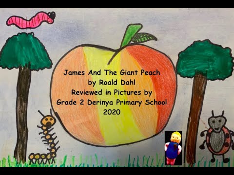 James and the Giant Peach Project : Reviewed by Grade 2, Derinya ...