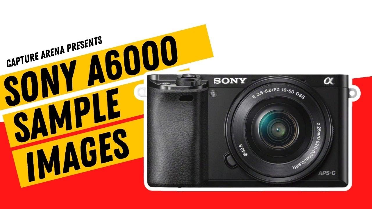 Sony A6000 (4K) Sample Images with Camera Settings (2023) - YouTube