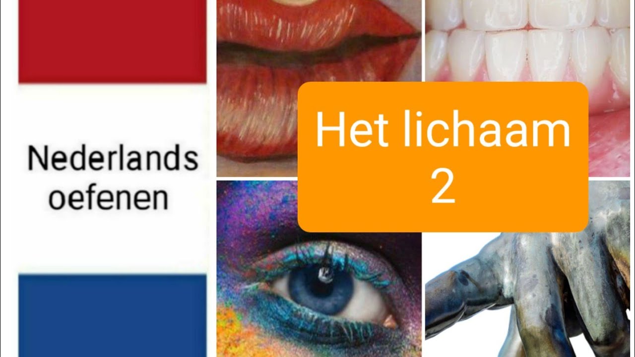 Het lichaam 2 - (body parts 2) - Nederlands leren - NT2 - woordenschat ...