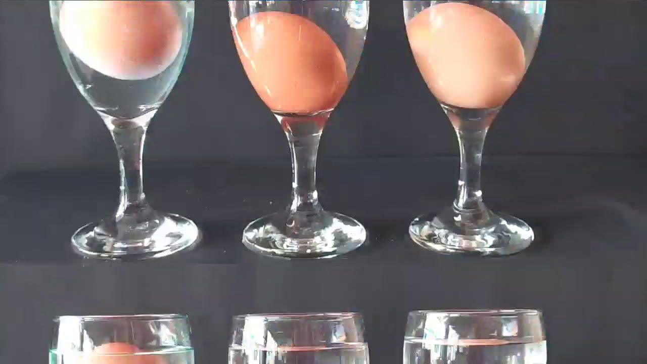 TOP 3 EGG TRICKS || SCIENCE EXPERIMENT WITH EGG || EKSPERIMEN SAINS ...
