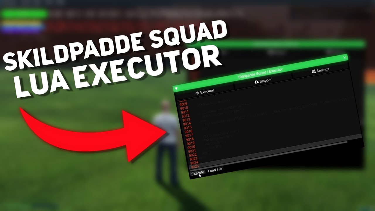 [OUTDATED] Free FiveM Lua Executor | Skildpadde Squad - YouTube