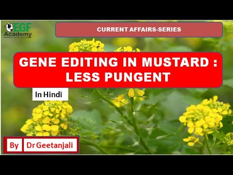 Gene Editing in Mustard Breeding l CRISPR cas9 and Gene Editing in ...