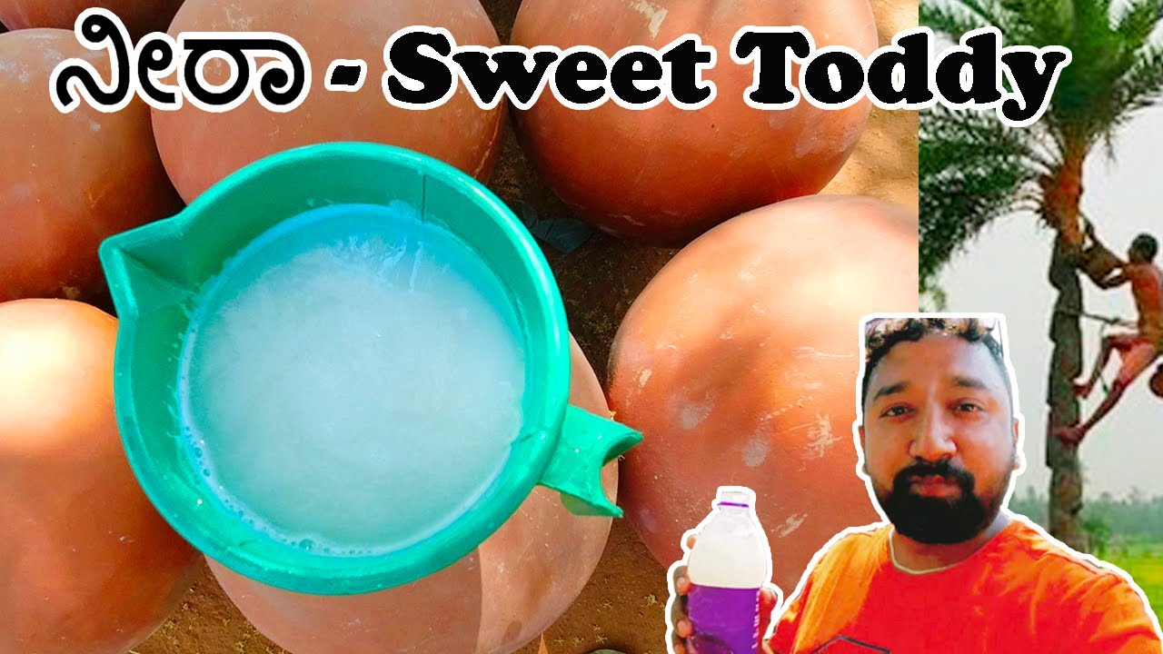 Neera - ನೀರಾ | Sweet Toddy | Healthy Drink Natural Alcohol in Andhra ...