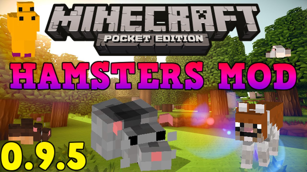 The Hamsters Mod Minecraft PE 0.9.5 (DOWNLOAD) - YouTube