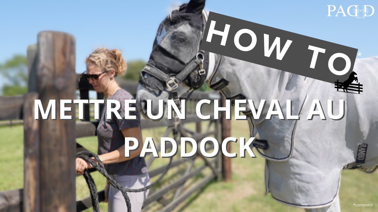 PADD - ASTUCES DE PRO Comment mettre un cheval au paddock ? - YouTube