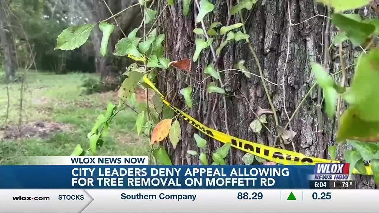 Biloxi city leaders sign off on allowing developer to remove trees on ...