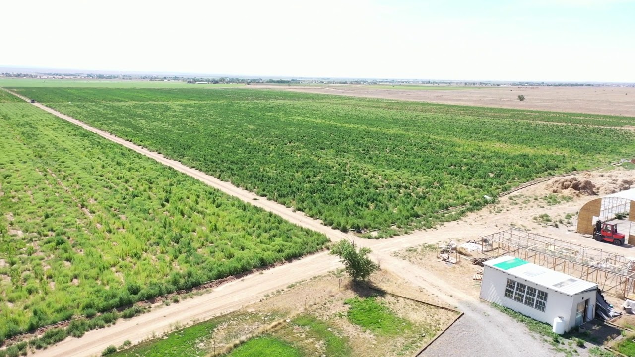 Santa Fe Farms - YouTube