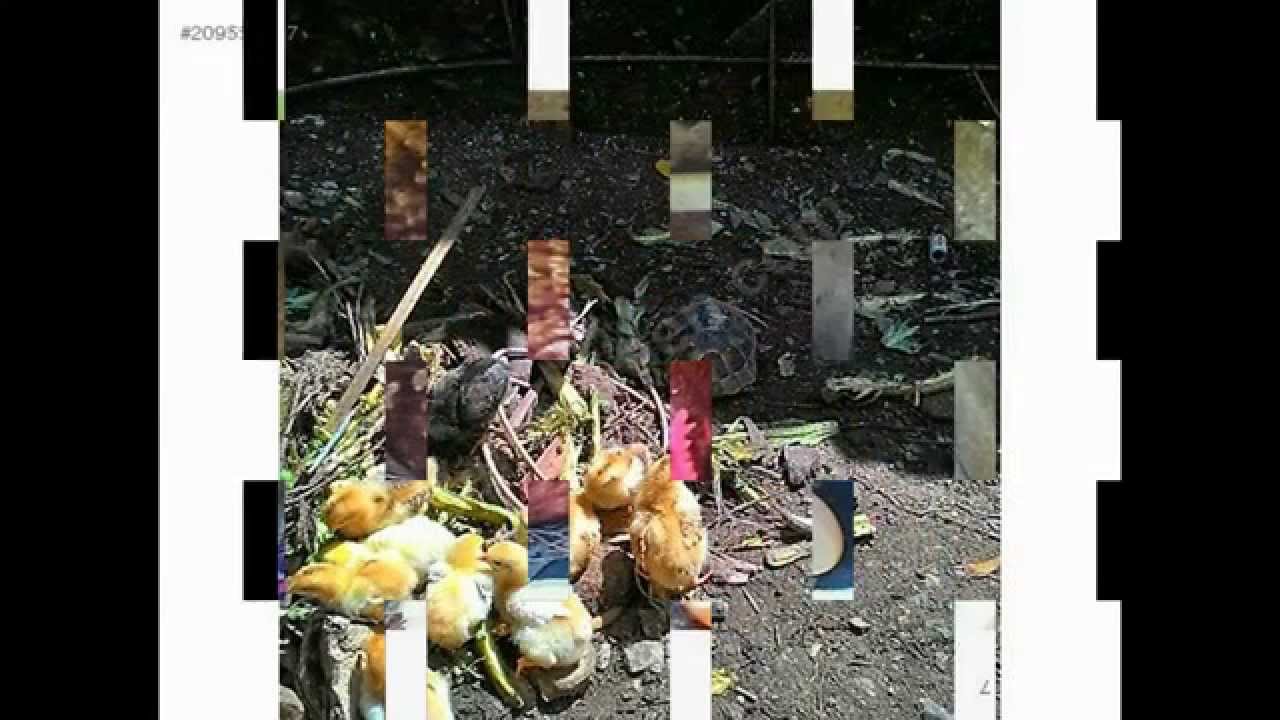 147258369 - YouTube