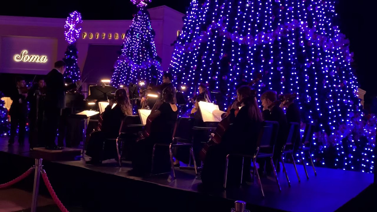 WRHS Chamber Orchestra ~ The Shops at Wiregrass ~ Happy Holidays/White ...