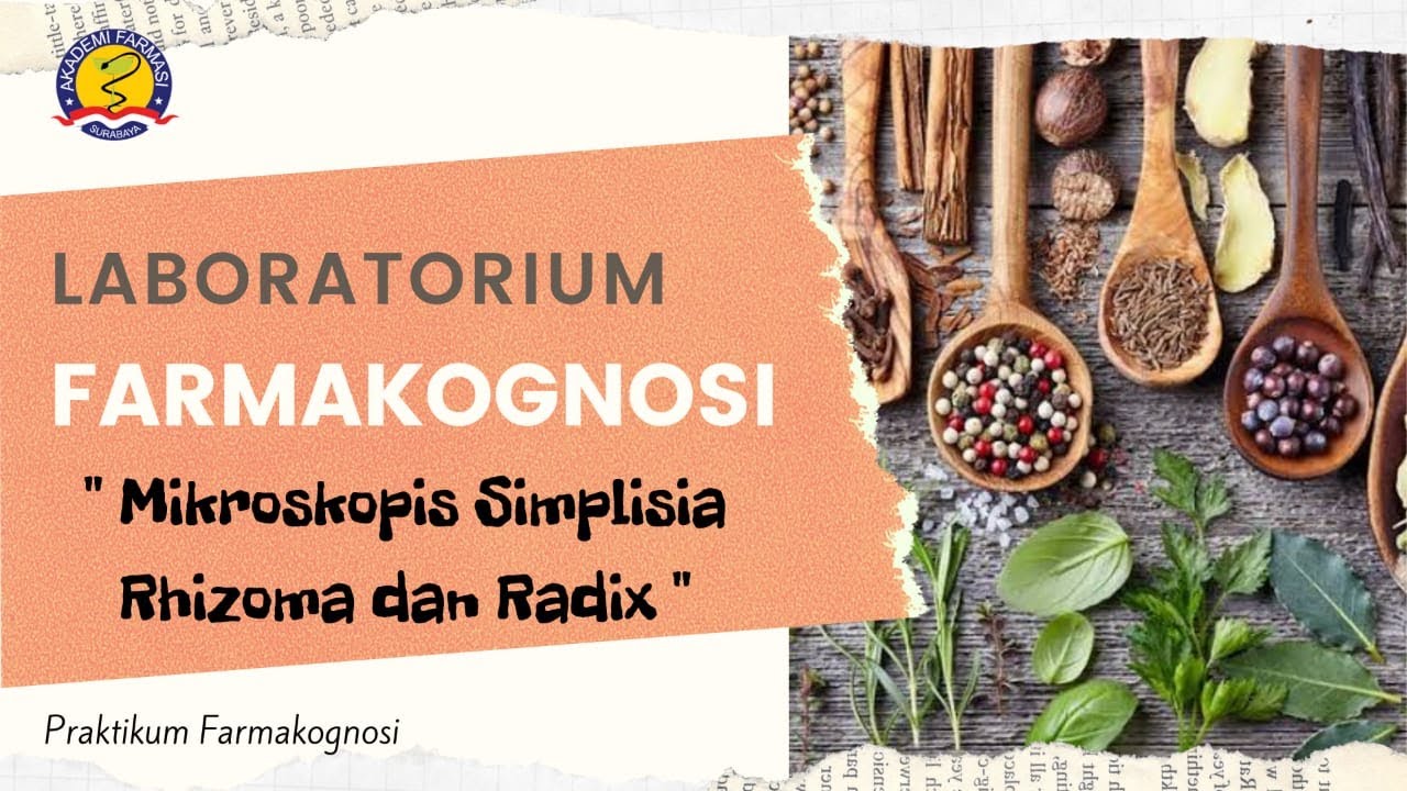 Praktikum Farmakognosi Pengamatan Mikroskopis Simplisia Rhizoma dan ...