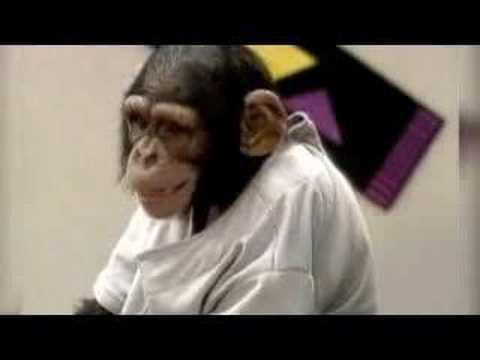 Oups! Les Filles trompe bec par un Singe ! = 15sebas15 = - YouTube